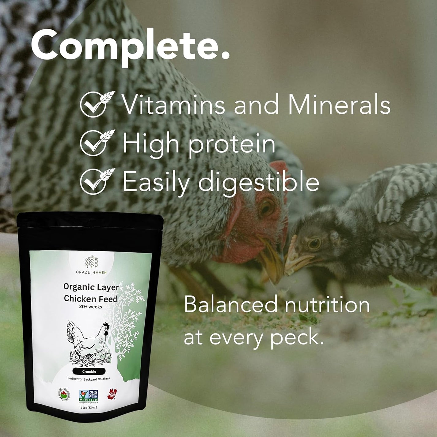 Organic Layer Chicken Feed – Graze Haven